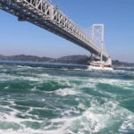 From Osaka: Naruto Whirlpool Boat & Awa Odori 1Day Bus Tour - Key Points