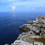 From Osaka: Shirahama Coastal Scenery Day Tour - Practicalities and Value