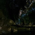 From Paihia: Kawiti Glowworm Caves Guided Tour - Who Should Consider This Tour?