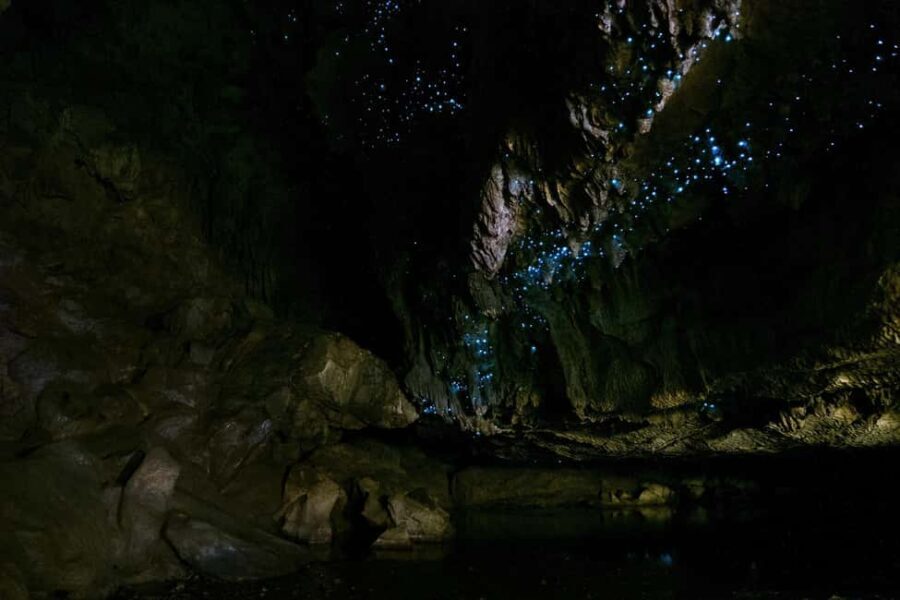 From Paihia: Kawiti Glowworm Caves Guided Tour - Who Should Consider This Tour?