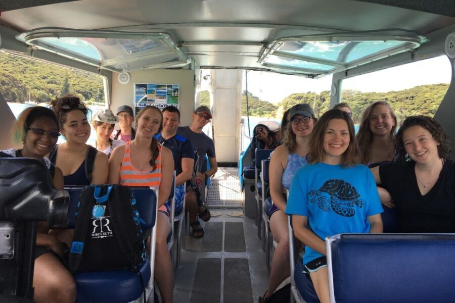 From Paihia: Scenic Cruise with Roberton Island Stopover - Who Should Consider This Tour?