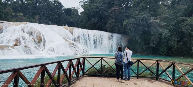 From Palenque: Palenque, Agua Azul Waterfalls and Misol-Ha - Practical Tips for Participants