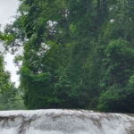 From Palenque: Palenque and Roberto Barrios Waterfalls Tour - What’s Included and Whats Not
