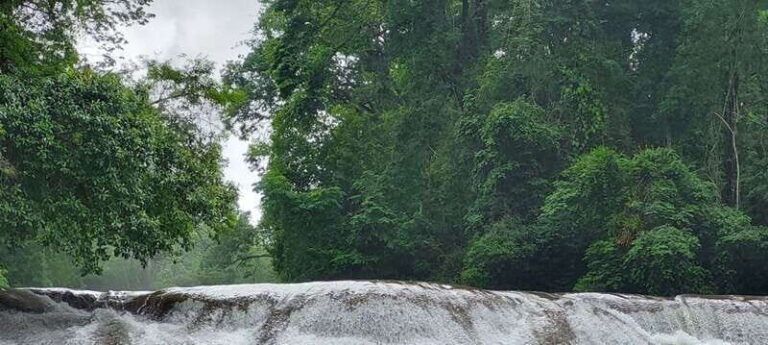 From Palenque: Palenque and Roberto Barrios Waterfalls Tour - What’s Included and Whats Not