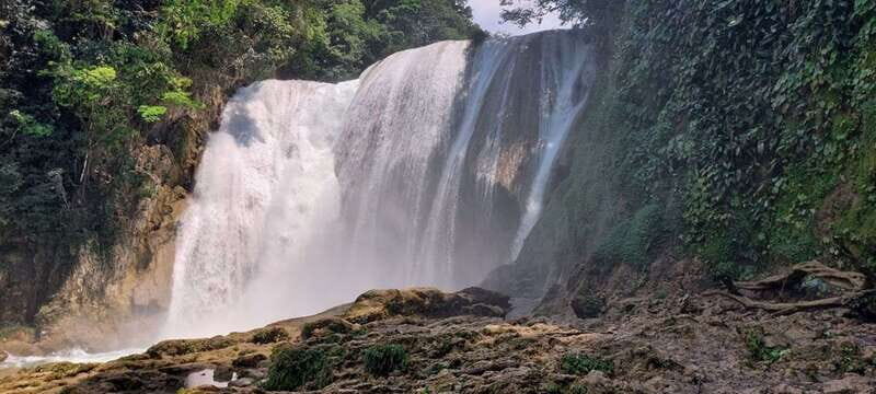 From Palenque: Roberto Barrios and El Salto Waterfalls Tour - Who Should Consider This Tour?
