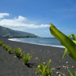 From Papeete: Tahiti Highlights Full-Day Private Tour - How the Tour Compares to Others