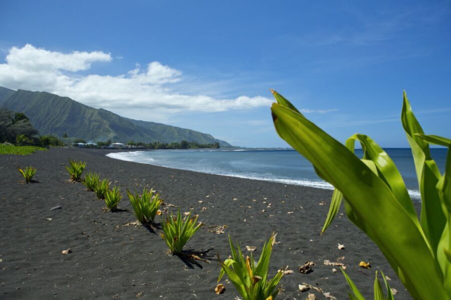 From Papeete: Tahiti Highlights Full-Day Private Tour - How the Tour Compares to Others