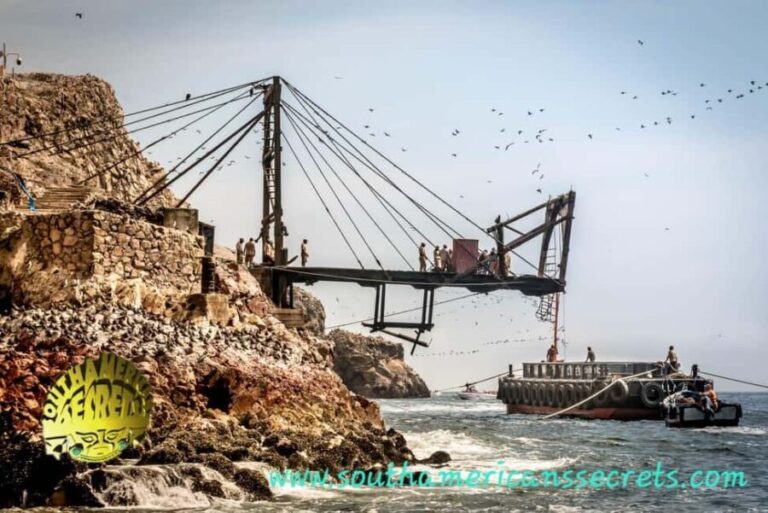 From Paracas: Ballestas Islands tour all Inclusive - Detailed Breakdown of the Itinerary