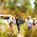 From Pemberton: Half-Day Beach and Forest Eco Adventure - Visiting the Landlocked Yeagarup Dunes