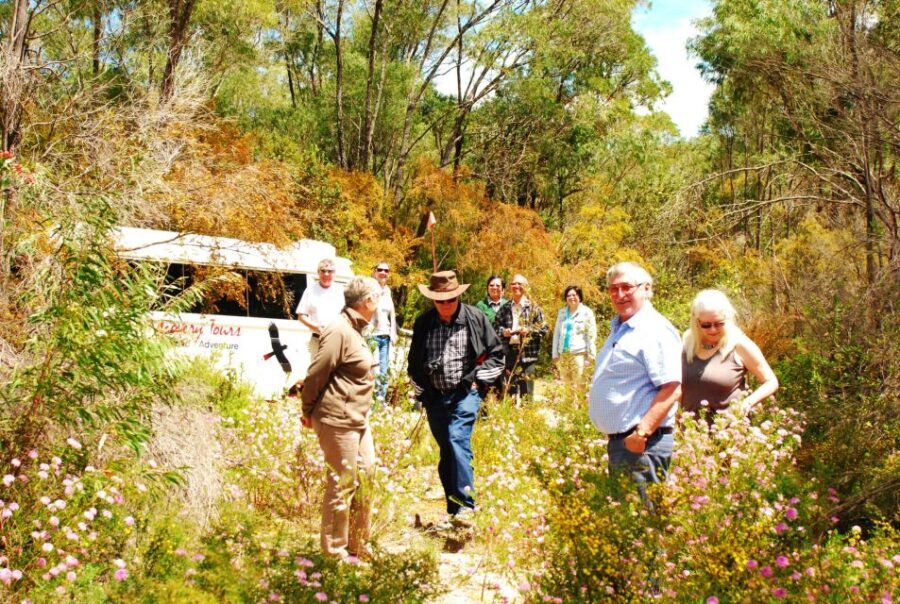 From Pemberton: Half-Day Beach and Forest Eco Adventure - Visiting the Landlocked Yeagarup Dunes