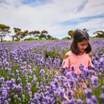 From Penneshaw - A Tasting Of Kangaroo Island - The Practicalities and Value