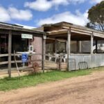 From Penneshaw: Kangaroo Island Shore Excursion Tasting Tour - A Deep Dive into the Experience