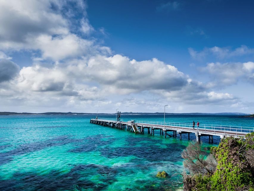 From Penneshaw: Kangaroo Island Sights and Wildlife Tour - Is It Worth the Price?