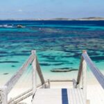 From Perth or Fremantle: Rottnest Island Seafood Cruise - Analyzing the Value