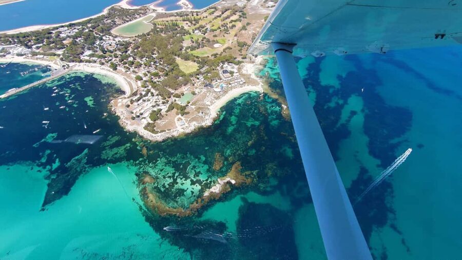 From Perth: Rottnest Grand Scenic Flight - Who Should Consider This Tour?