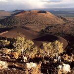 From Phoenix Private Custom Flagstaff Day Tour - Breakdown of the Itinerary: What You’ll Experience