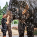 From Phuket: Elephant Jungle Sanctuary Feed and Shower Trip - Practical Tips for Travelers