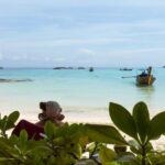 From Phuket: Snorkeling Ferry Cruise to Phi Phi Islands - How This Tour Balances Value and Experience
