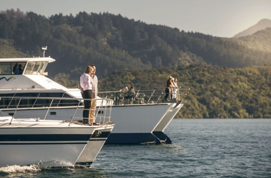 From Picton: Marlborough Sounds Cruise with Seafood - The Wildlife and Local Stories