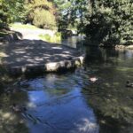 From Picton: Private Wine and Gourmet Tour of Marlborough - What’s Included and What’s Not