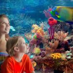 From Playa del Carmen: Complete Combo to Xcaret Park! - What Past Visitors Say
