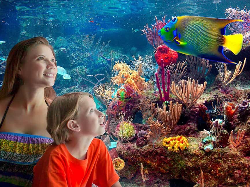 From Playa del Carmen: Complete Combo to Xcaret Park! - What Past Visitors Say