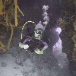From Playa del Carmen: Cozumel Diving Adventure - Detailed Breakdown: What the Day Looks Like