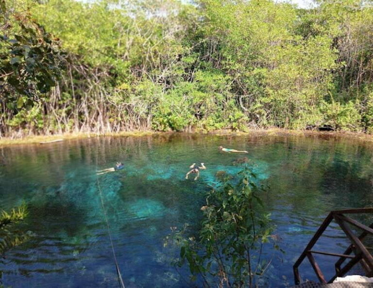 From Playa del Carmen: Tulum Coba and Cenote - Final Considerations