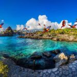 From Playa del Carmen: Xcaret Plus Park, the complete experience - Final Thoughts: Is It for You?