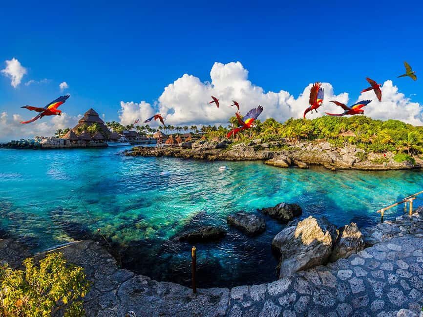 From Playa del Carmen: Xcaret Plus Park, the complete experience - Final Thoughts: Is It for You?