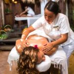 From Playa del Carmen: Xel-Há All-Inclusive Park - Transportation and Practicalities