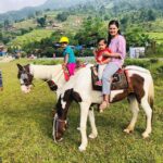 From Pokhara: 2.5 Hours Horseback Riding Adventure - The Itinerary in Detail