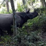 From Pokhara: 2-Day Chitwan National Park Safari Tour - Frequently Asked Questions