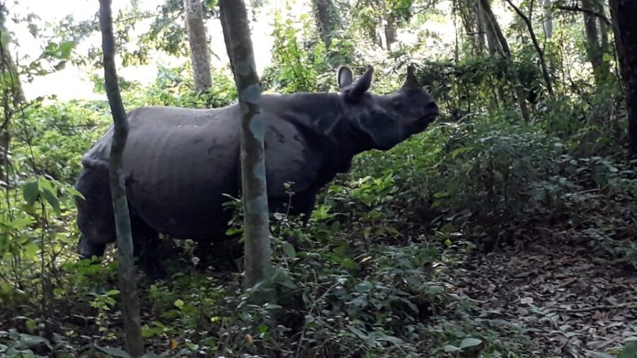 From Pokhara: 2-Day Chitwan National Park Safari Tour - Frequently Asked Questions