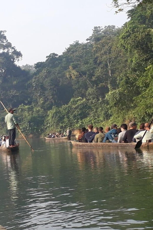From Pokhara: 3 Day 2 Night Wildlife Chitwan Tour Package - The Transportation & Accommodation