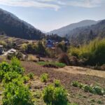 From Pokhara: 4-Day Annapurna and Poon Hill Himalayan Trek - What Travelers Can Expect