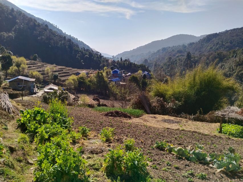 From Pokhara: 4-Day Annapurna and Poon Hill Himalayan Trek - What Travelers Can Expect