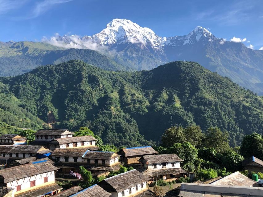 From Pokhara - Ghorepani Poon Hill Ghandruk Trek - 4 Days - Exploring the Itinerary in Detail