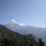 From Pokhara: Mardi Himal Trek with Accommodation and Guide - What Makes This Trek Special? The Value and the Experience