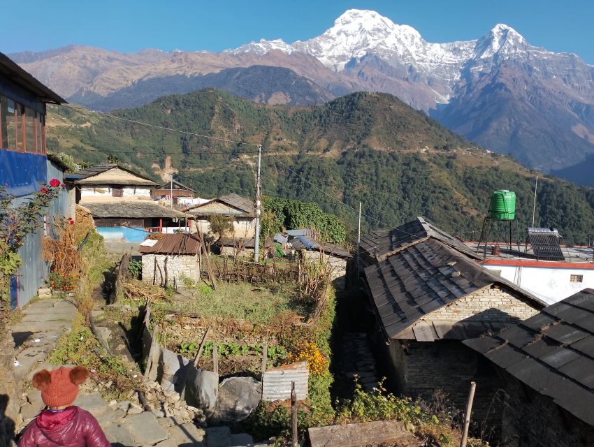 From Pokhara: Private 5-Day AnnapurnaBasecamp Trek - Starting Point and Transportation