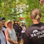 From Port Douglas: Daintree Rainforest & Mossman Gorge Tour - Morning in Mossman Gorge: Culture and Nature