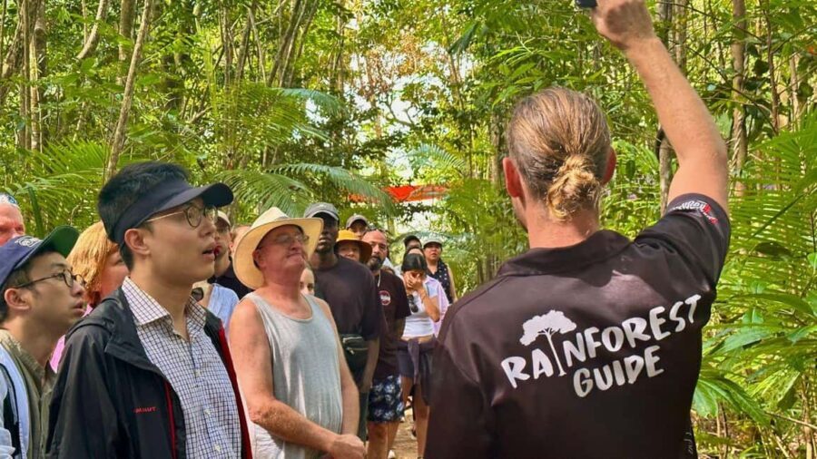 From Port Douglas: Daintree Rainforest & Mossman Gorge Tour - Morning in Mossman Gorge: Culture and Nature