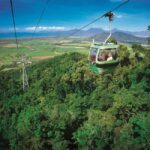 From Port Douglas: Hartley's Crocodile Park, Skyrail & Train - What You Can Expect: An Action-Packed Day with a Lot of Highlights