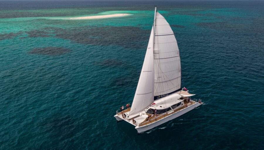 From Port Douglas: Outer Reef Cruise by Luxury Catamaran - Practical Considerations and Value