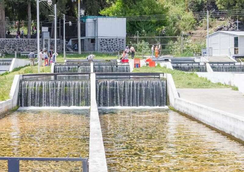 From Puebla: Cholula and Atlixco Private Tour all included - What Makes This Tour Stand Out?