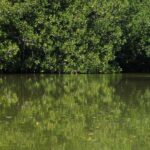 From Puerto Escondido: Day Trip to Chacahua National Park - What’s Included and What’s Not