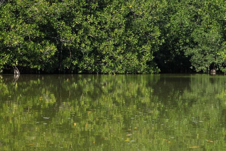 From Puerto Escondido: Day Trip to Chacahua National Park - What’s Included and What’s Not