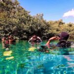 From Puerto Morelos: Ocean Reef Snorkeling - The Itinerary in Detail