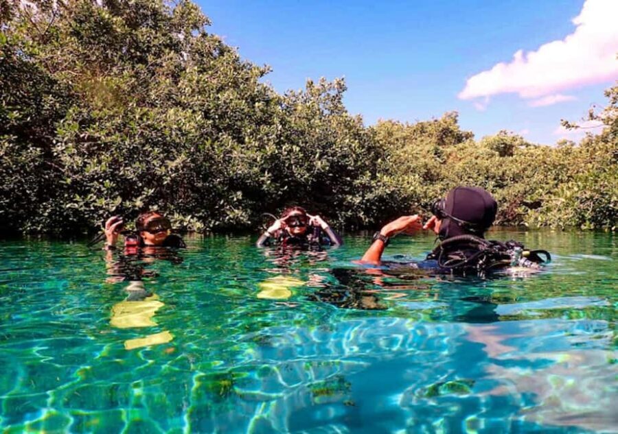 From Puerto Morelos: Ocean Reef Snorkeling - The Itinerary in Detail