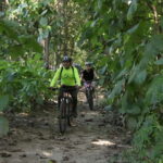 From Puerto Vallarta: Jungle Mountain Bike Tour - Authenticity and Real-Life Experience